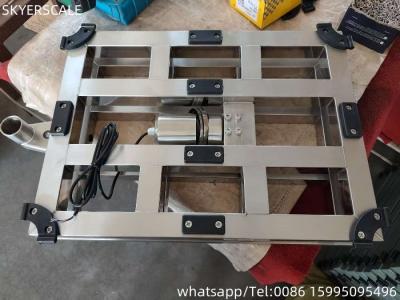 중국 304 스테인리스 스틸 80x80cm 벤치 스케일 Inox 중량 플랫폼 스케일 800kg 판매용