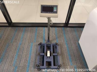 중국 디지털 전자 바닥 벤치 가축 및 의료 플랫폼 무게 가량 판매용