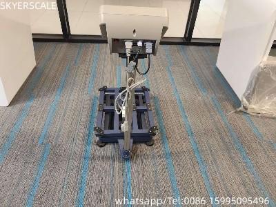 중국 플랫폼 전자 무게 균형 경제 벤치 스케일 300kg 판매용
