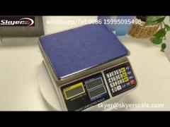 LCD 역광선 전시를 가진 30kg 1g 디지털 방식으로 무게 가늠자