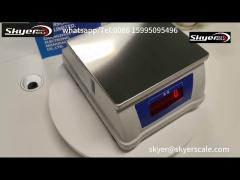 3KG/0.5g D3 Series  Electronic Weight Scale Stainless Steel Digital Waterproof