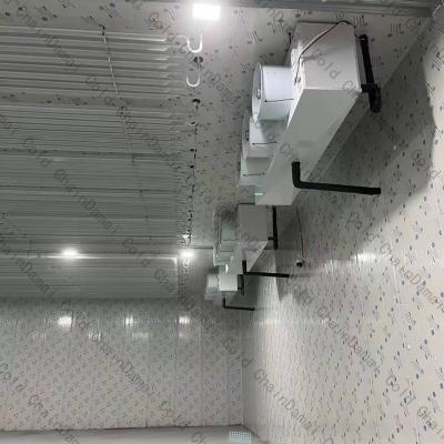 중국 380V 220V 냉장고 냉장실 정밀 온도 및 습도 제어 판매용
