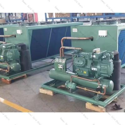 Cina Unità di condensazione del compressore inverter con controller per microprocessore CAREL in vendita