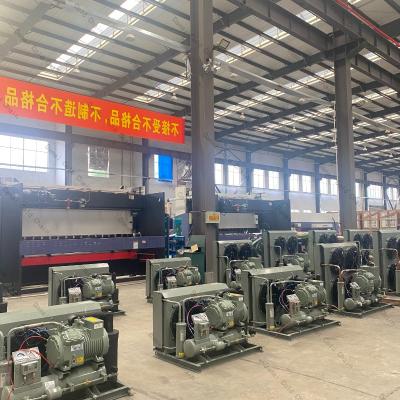 Cina Unità di condensazione del compressore inverter con controller per microprocessore CAREL in vendita