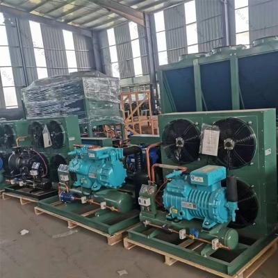 Cina Unita'di condensatore DM raffreddata ad aria, Unita'di condensatore orizzontale 60Hz in vendita