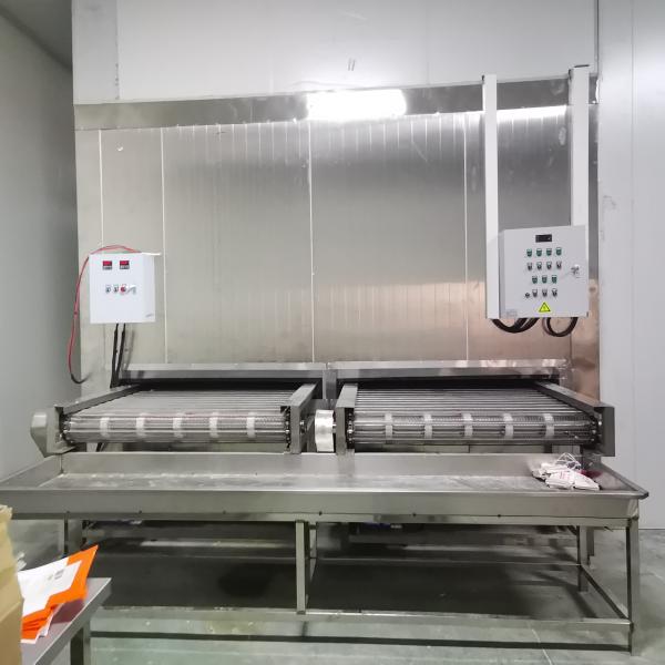 380V 50Hz Individual Quick Freezing Machine Fast Cooling Quick Freezing Tunnel