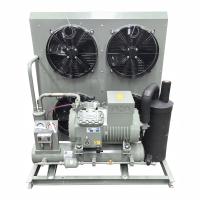 China Suitable For Cold Room Semi Hermetic Piston Condensing Unit with CAREL Controller for sale