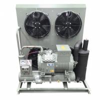 China Customizable Cold Room Condensing Unit with 380V/ 3p/ 50Hz Voltage for sale