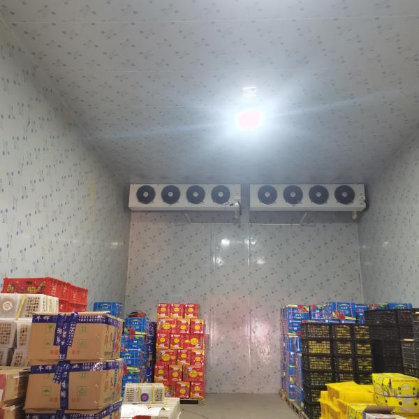 R404a/R134a Refrigerant Fruit Cold Storage Room with Temperature Range walk in cooler