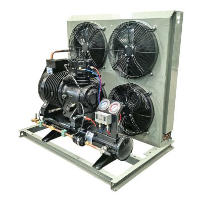 Cina Unità di condensazione di tipo refrigerante R-410A/R507A con motore del ventilatore PSC e refrigerante R507A/R404A in vendita