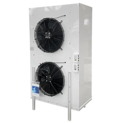 China 2 Fan Quantity Standing Cold Room Evaporator with Horizontal Air Flow and Customizable Temperature for sale