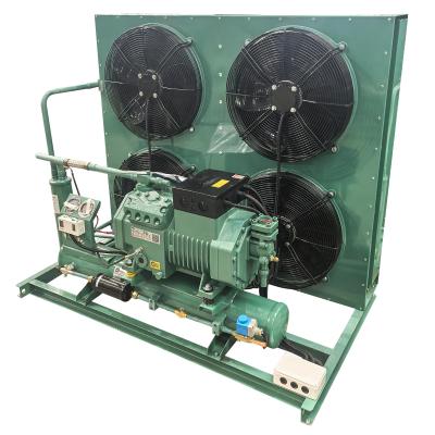 China Versatile Axial Fan Air Cooled Condensing Units for walk in cooler freezer room for sale
