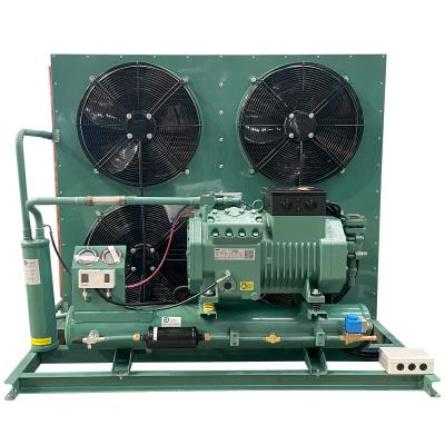 China Compressor Condensing Unit for walk in freezer room cooling system refrigeration unit for sale