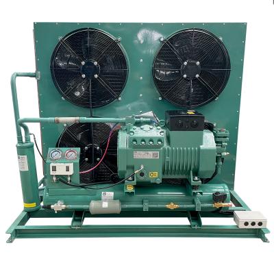 China Compressor Condensing Unit voor koelcel walk-in koeler vriezer bewaar fruitkamer Te koop