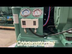 cooling system air cooled condensing units for walk in cooler freezer room cold storage room