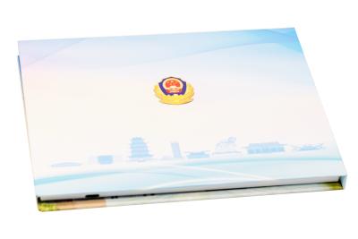 China Convenient Functionality Digital Presentation Device for Art Collectible PNG Format for sale