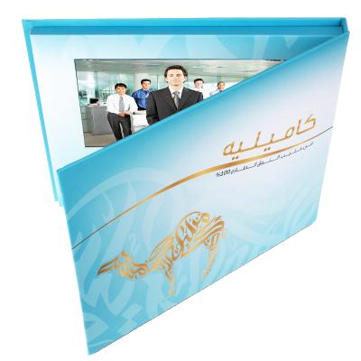 China 600Amh-6000Amh Battery Capacity Digital Presentation Device The Ultimate Solution for BMP Photos for sale