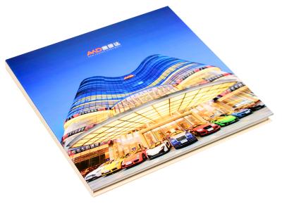 Китай Наслаждайтесь превосходным видео с видеокартами LCD с аудиоформатом AAC и форматом изображений JPG продается