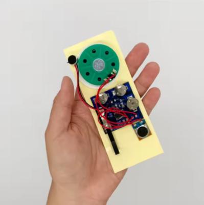 China Customized Flash Memory Recordable Sound Module with Customized Sound Duration for Professional Audio Recordings for sale