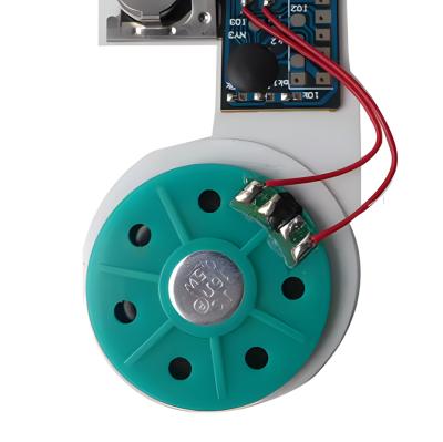 China Customized Flash Memory Recordable Sound Module with Customized Sound Duration for Professional Audio Recordings for sale