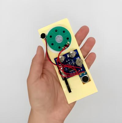China ROHS Certified Recordable Sound Module with Acceptable Custom Sound Duration for sale