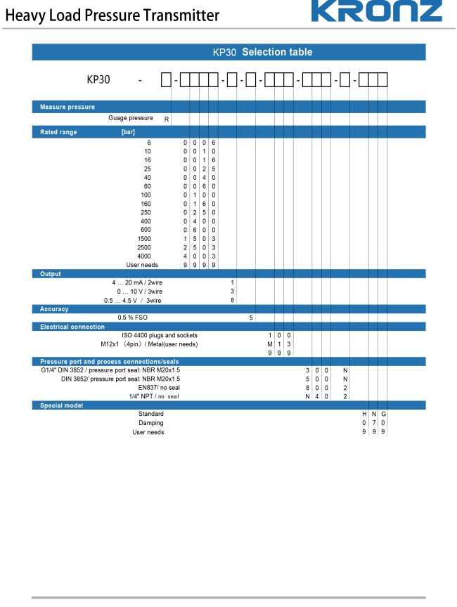 Heavy Load Pressure Transmitter installation example