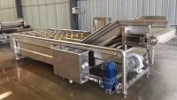 China Fruit And Vegetable Washing Machine With Water Circulating System for sale