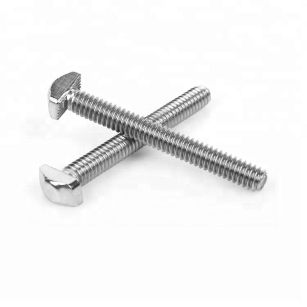 Polish Finish Track T Head Bolts A2-70 Stainless Steel T Bolts T Nut Bolts