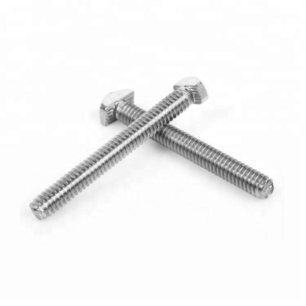Polish Finish Track T Head Bolts A2-70 Stainless Steel T Bolts T Nut Bolts