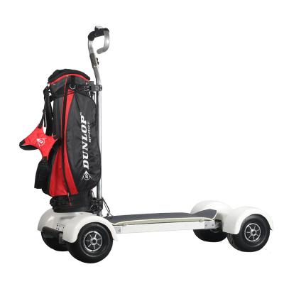 China EcoRider electric longboard,Adult electric skateboard E7-2,off road electric mountainboard for sale
