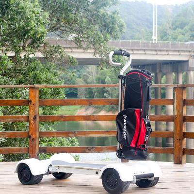 China EcoRider golf board 60V electric golf cart 4 wheel electric scooter with removable handle for sale