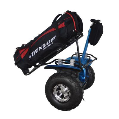 China EcoRider big tires off road self balancing electric scooter Segway golf scooter for sale