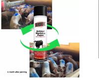 China Animal Marking Paint for sale