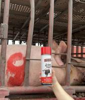 China Animal Marking Paint for sale