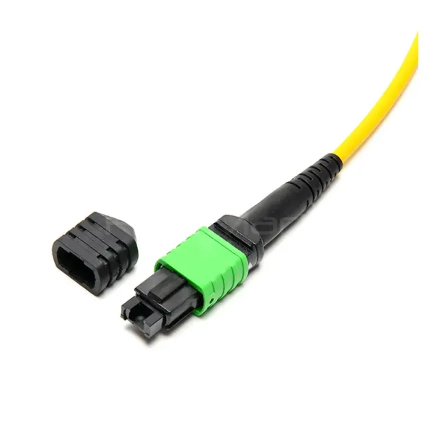 MTP/APC Female to MTP/APC Female 1m jumper cable