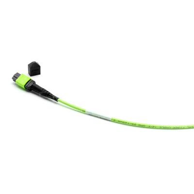 China 12 Fibers MPO Trunk Cable Female To Female Polarity A OM5 OFNP Lime Jacket for sale