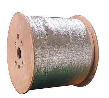 Quality GJSFJBV Duplex Armored Fiber Optic Cable 2 Core For LAN Backbones for sale