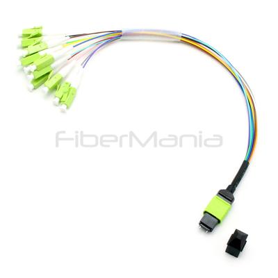 China Cabo Patchcord de Fibra Óptica MPO Macho para LC 0.9mm com Jaqueta Hytrel e 0.3M de Comprimento para Data Centers à venda