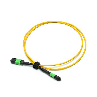 China MTP Jumper MPO Trunk Patch Cord 1m (3ft) with 0.35dB Max and OM4 50/125μm for High-Speed Data Transmission for sale