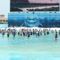 China Water Park Swimming Pool Man Made Wave Pool System for sale