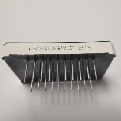 China High Brightness White /Pure Green Dual Line 7 Segment LED Display Common Anode for Temperature Indicator for sale