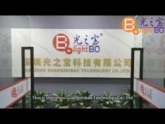 aangepast segment led display