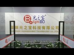 オーダーメイド 7 セグメント LED ディスプレイ