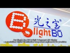 3 Digit 7 Segment LED Display for Refrigerator Control System