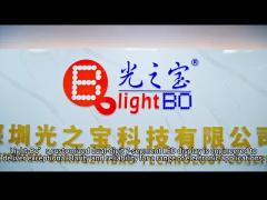 Custom Dual Digit 7 Segment LED Display