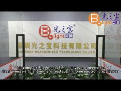 0.32-Inch (8.2mm) 7-Segment LED Display