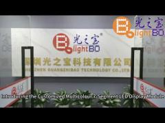 Customized Blue RedYellow 7 Segment LED Display