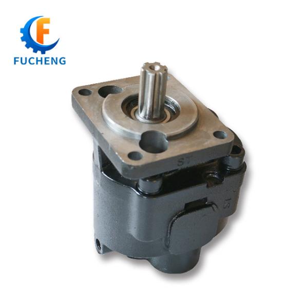 Quality Standard CbhsN17-80 Hydraulic Gear Pump for Dump Truck in Black Performance for sale