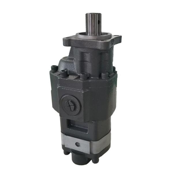 Quality Standard CbhsN17-80 Hydraulic Gear Pump for Dump Truck in Black Performance for sale