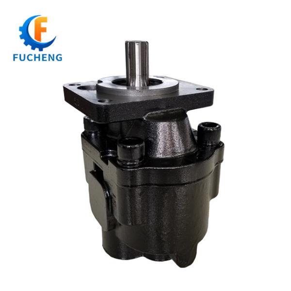 Quality Standard Dump Truck Hydraulic Pump CBHS Series with and Other Displacement for sale